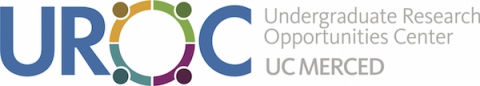 Programs and Funding | Undergraduate Research Opportunities Center (UROC)
